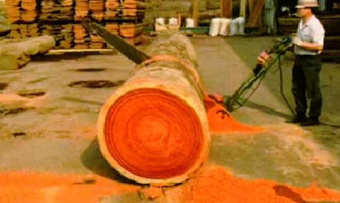 Wood Slasher - PT. Alpha Utama Mandiri